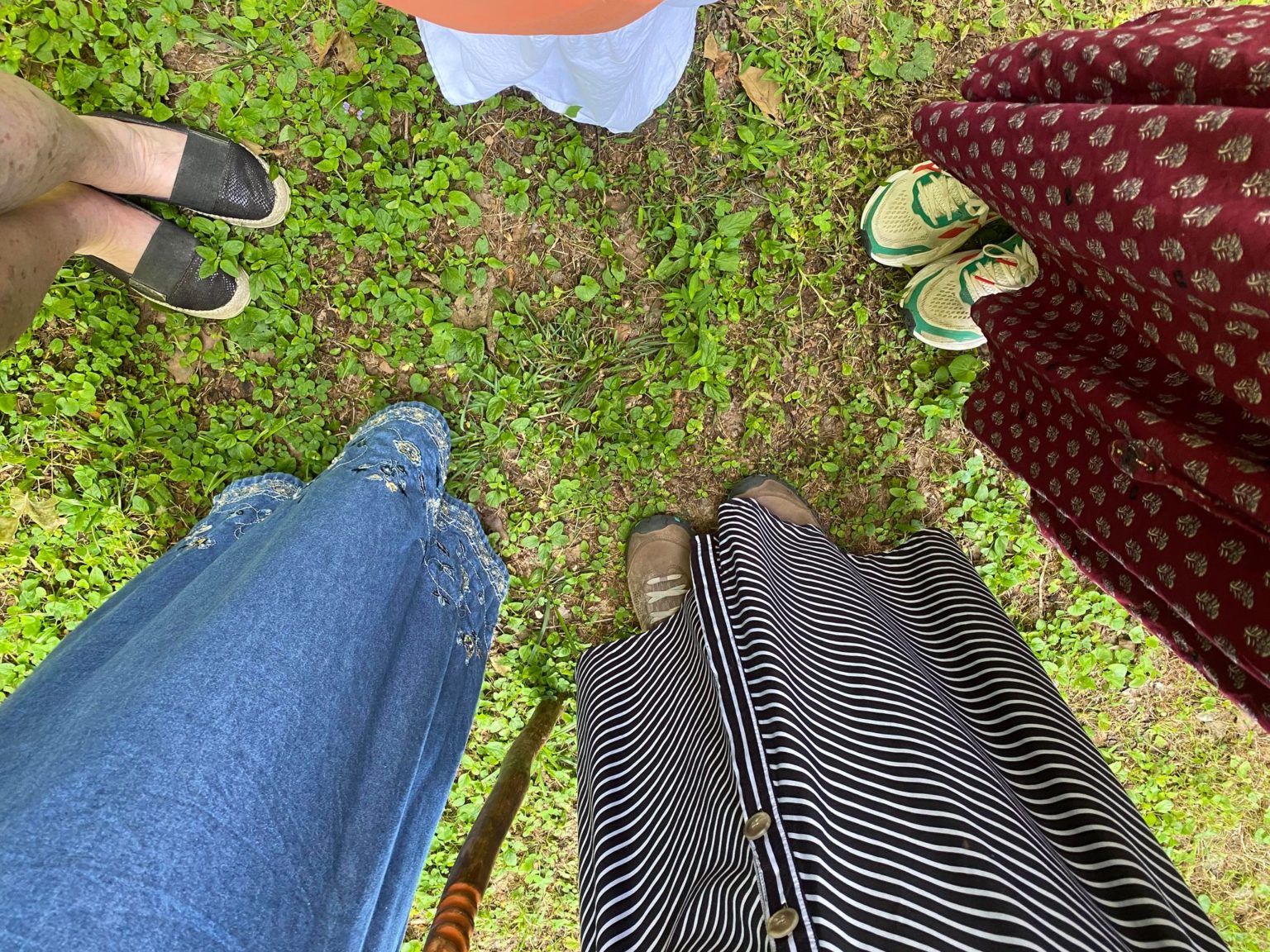 Classes - Pipsissewa Herbs